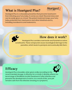 Everything you need to know about Heartgard Plus - DiscountPetMart