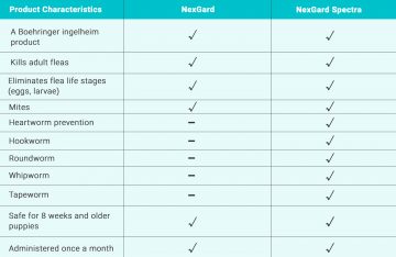 NexGard vs NexGard Spectra: Flea, Tick & Heartworm Treatment
