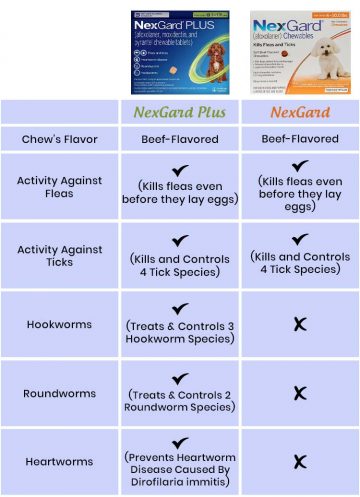 All you Need to Know About NexGard Plus - DiscountPetMart